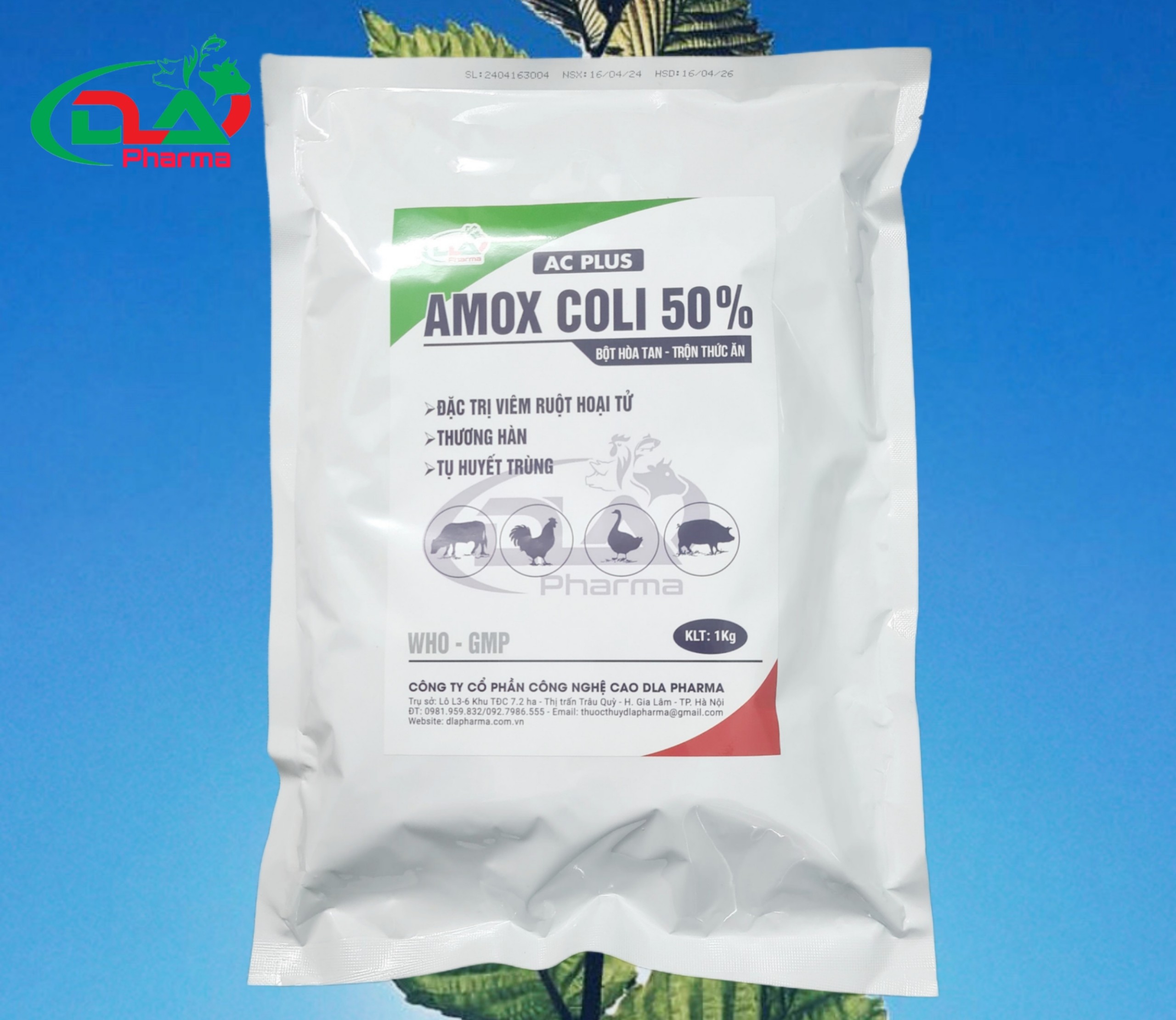 AMOX COLI 50% | NHÓM SẢN PHẨM KHÁNG SINH BỘT CÔNG NGHỆ BAO VIÊN – DLA ...