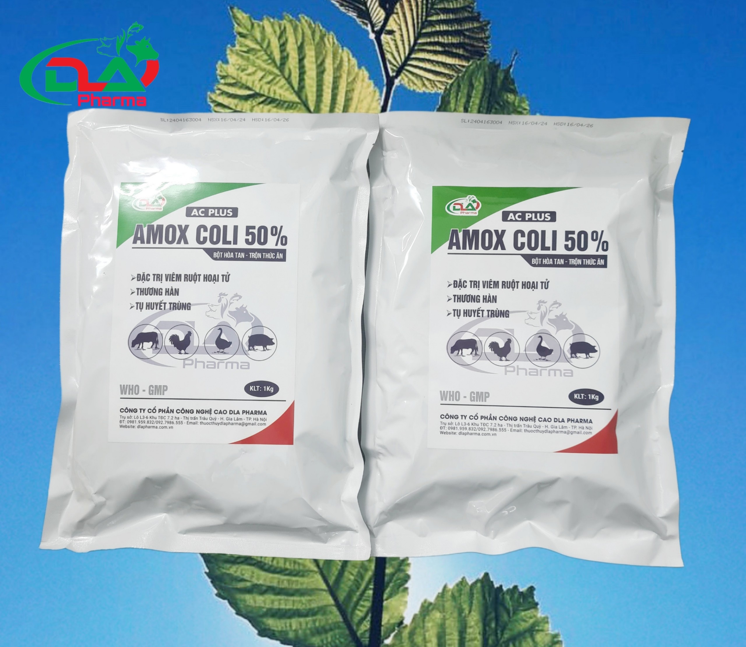 AMOX COLI 50% | NHÓM SẢN PHẨM KHÁNG SINH BỘT CÔNG NGHỆ BAO VIÊN – DLA ...