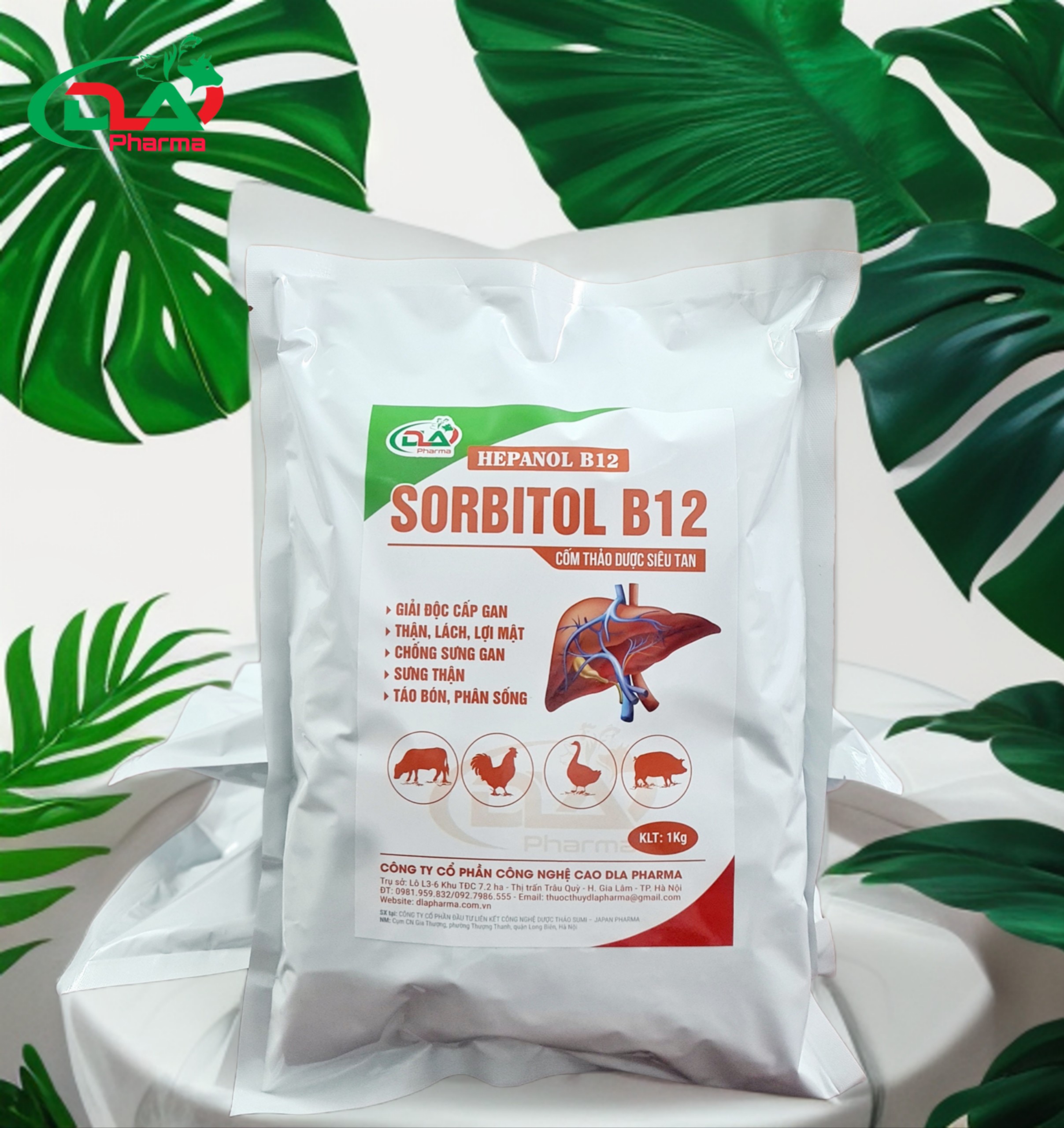 SORBITOL B12 | NHÓM DINH DƯỠNG CÔNG NGHỆ CỐM THẢO DƯỢC – DLA Pharma ...