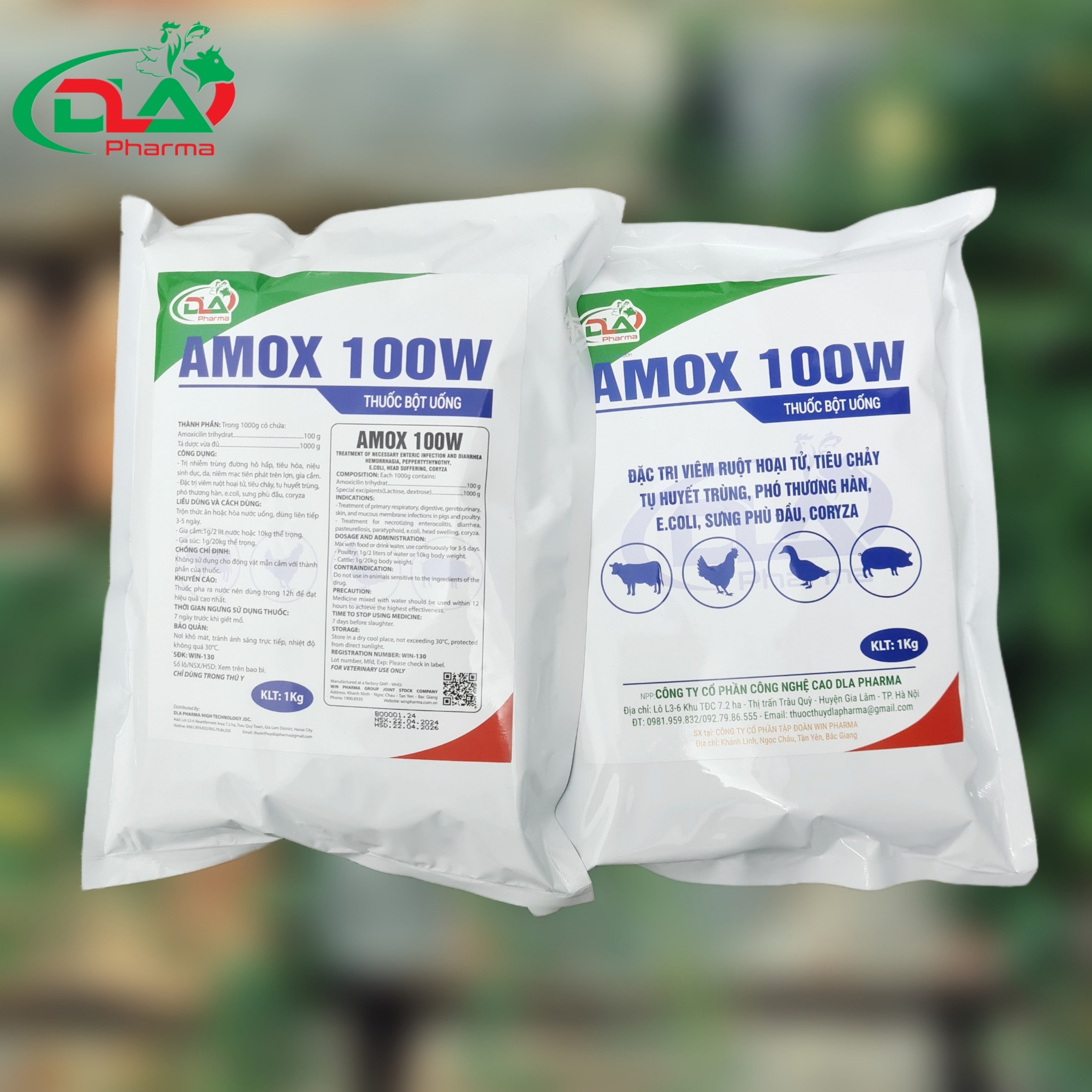 AMOX 100W | NHÓM SẢN PHẨM KHÁNG SINH BỘT CÔNG NGHỆ BAO VIÊN – DLA ...
